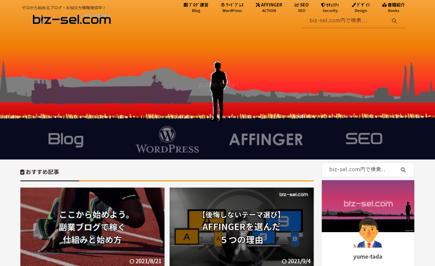 AFFINGER6が初心者には難しいと言われるワケとおすすめする5つの理由 -biz-sel.com