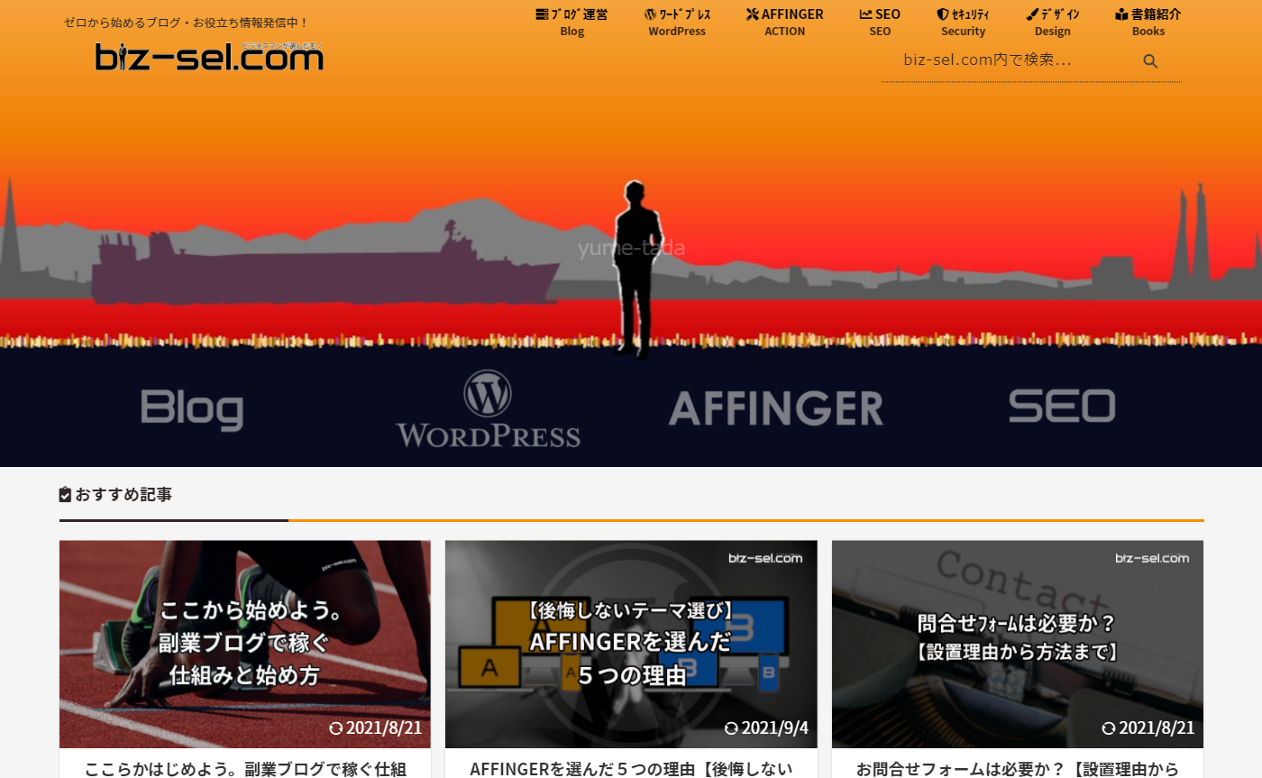 AFFINGER6が初心者には難しいと言われるワケとおすすめする5つの理由 -biz-sel.com